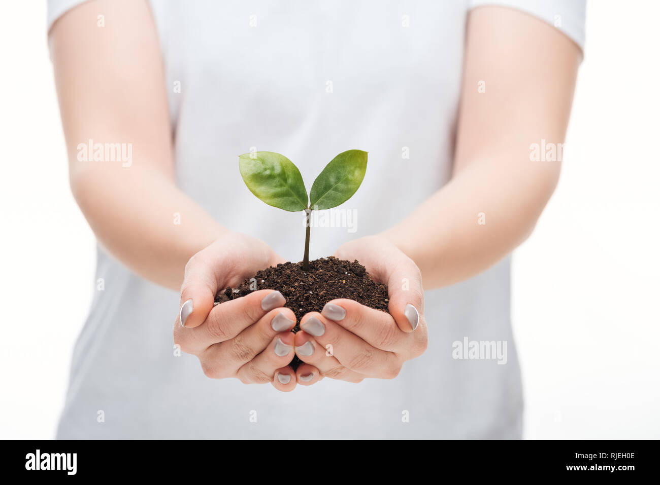 selective focus of woman protecting ground with green plant isolated on ...