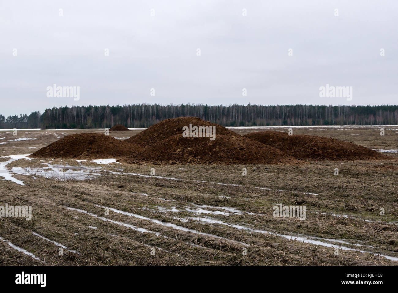 Pile of manure hi-res stock photography and images - Alamy