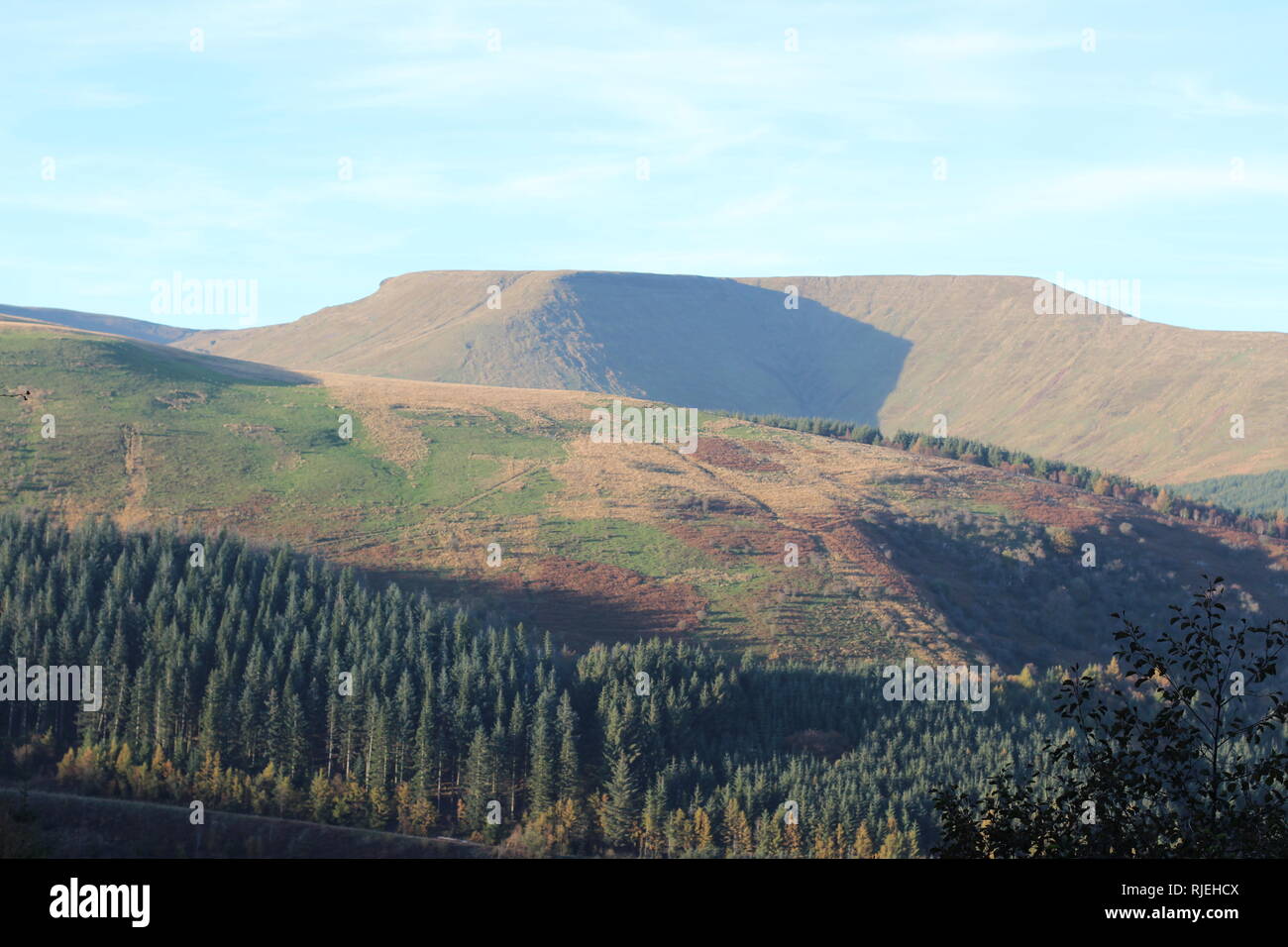 Welsh forest and countryside vista hi-res stock photography and images ...
