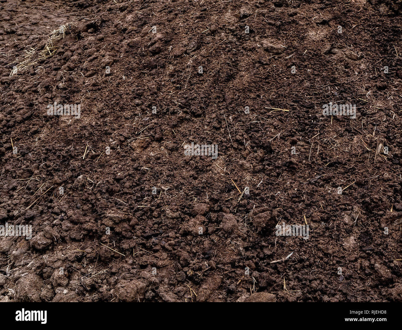 organic fertilizer texture. Fertilization in the spring on the field ...