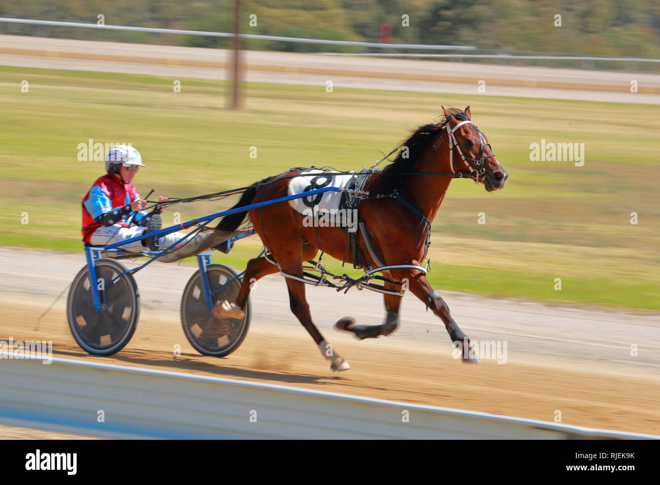 Race horse buggy sulky hi-res stock photography and images - Alamy