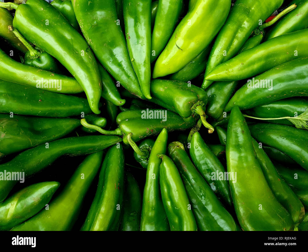 Green hot bitter pepper, close-up Stock Photo - Alamy