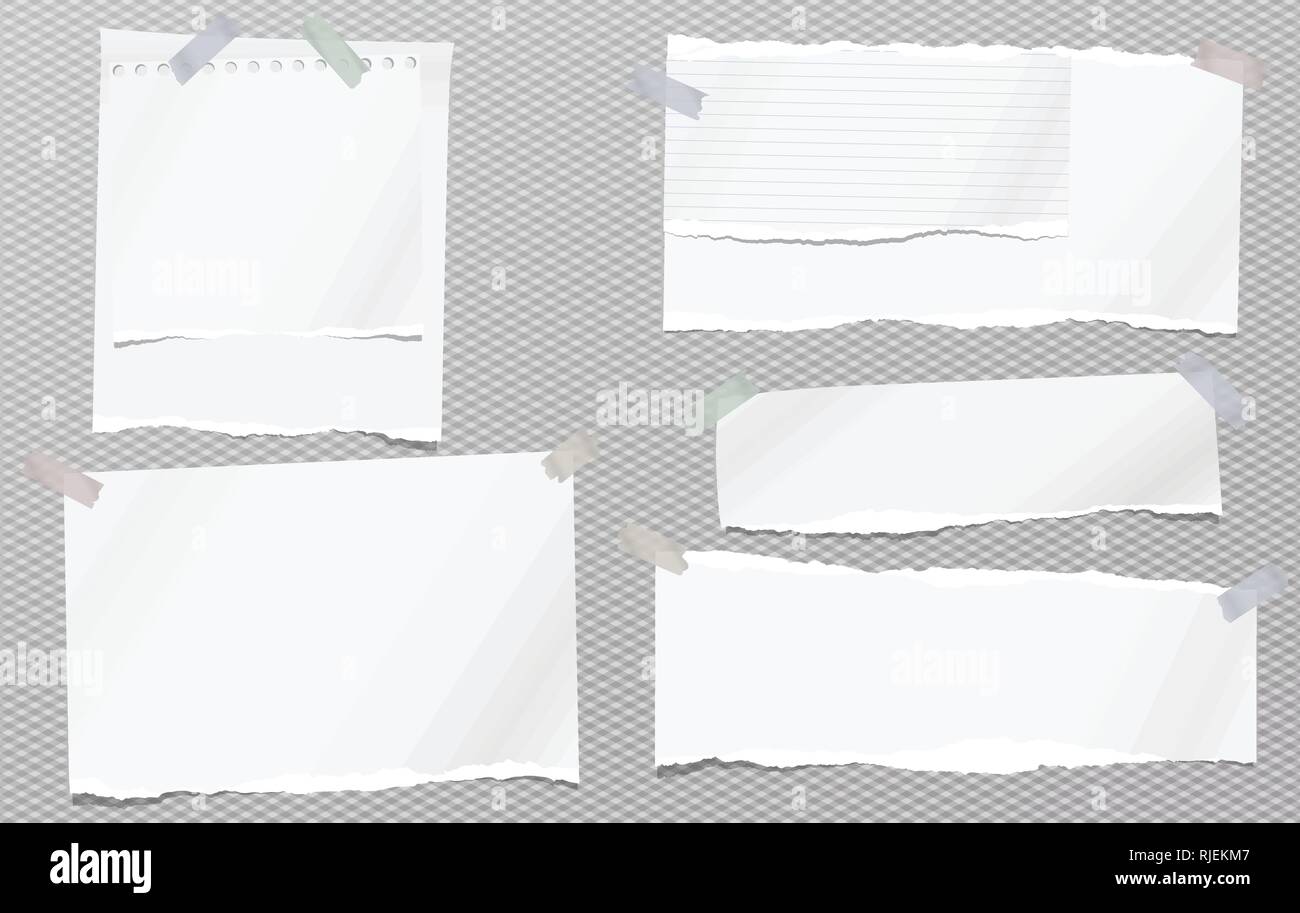 Set of white ripped notebook paper, torn note paper strips stuck with ...