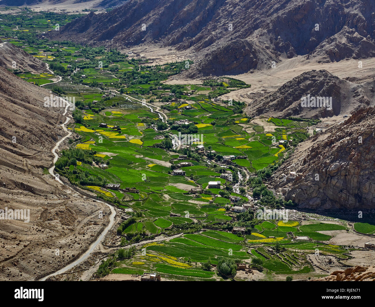 Huge mountain valley with green fields of barley along the river ...
