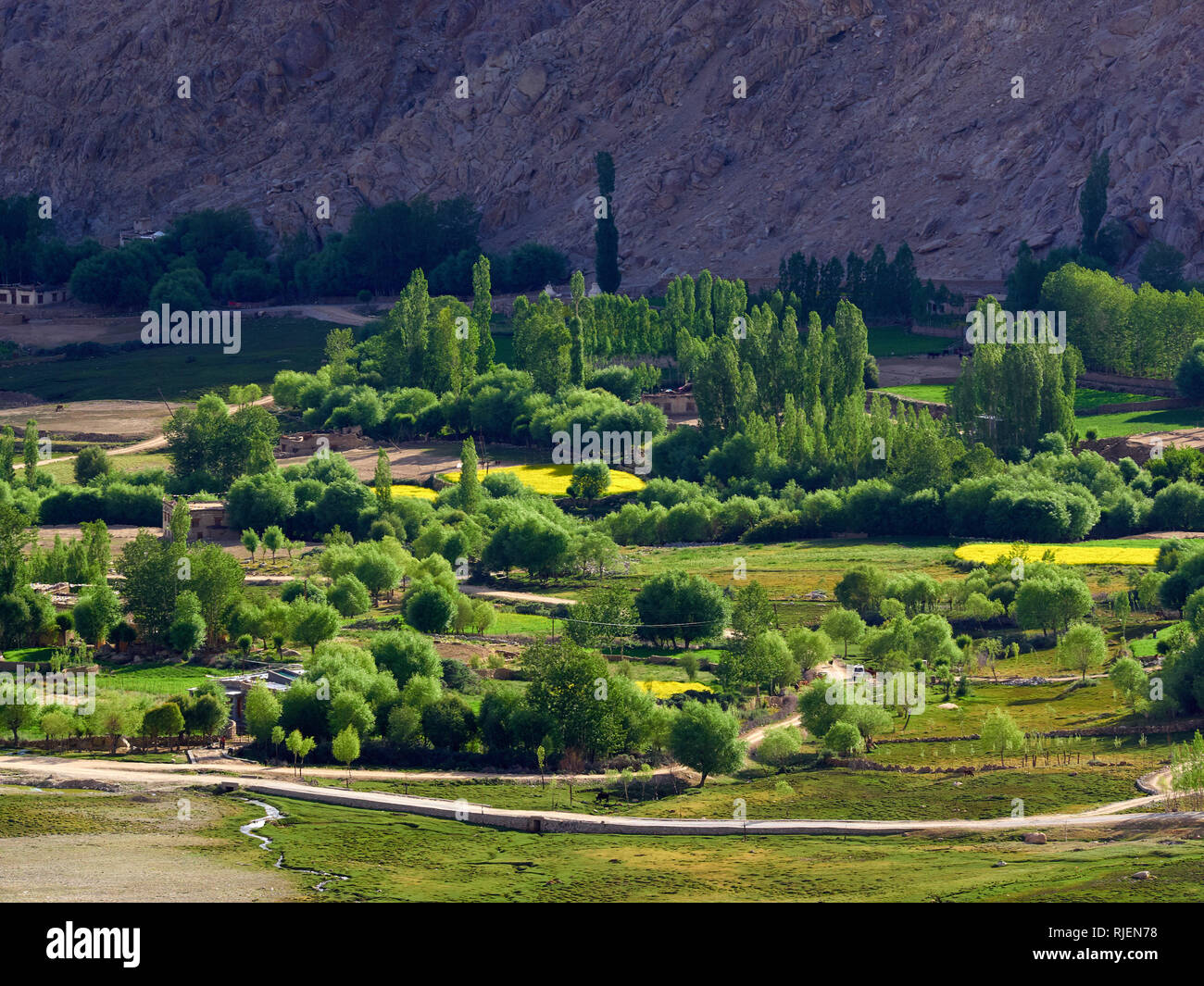 Aerial view of rice field india hi-res stock photography and images - Alamy