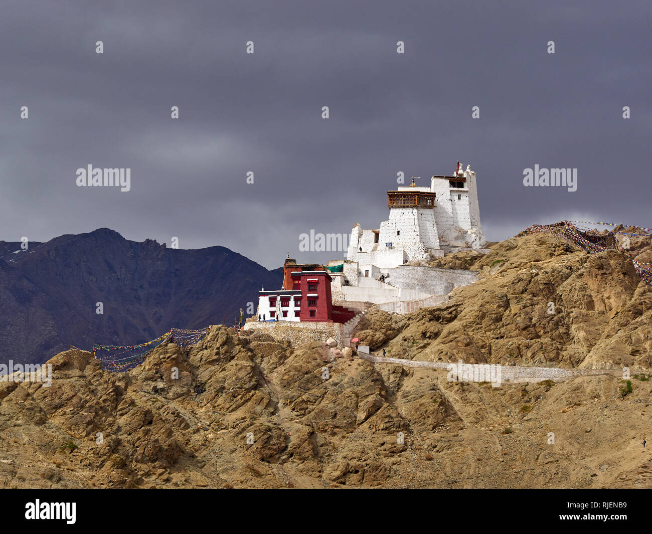 Buddhist monastery Namgyal Tsemo on top of a mountain above Leh, Ladakh ...