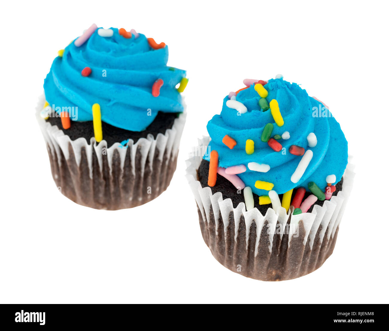 Side view of two blue frosted chocolate cupcakes isolated on a white ...