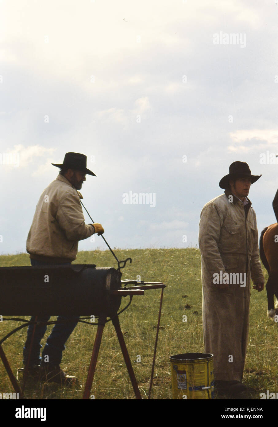 Real Nebraska Cowboys Early 2000s High Resolution Stock Photography and ...