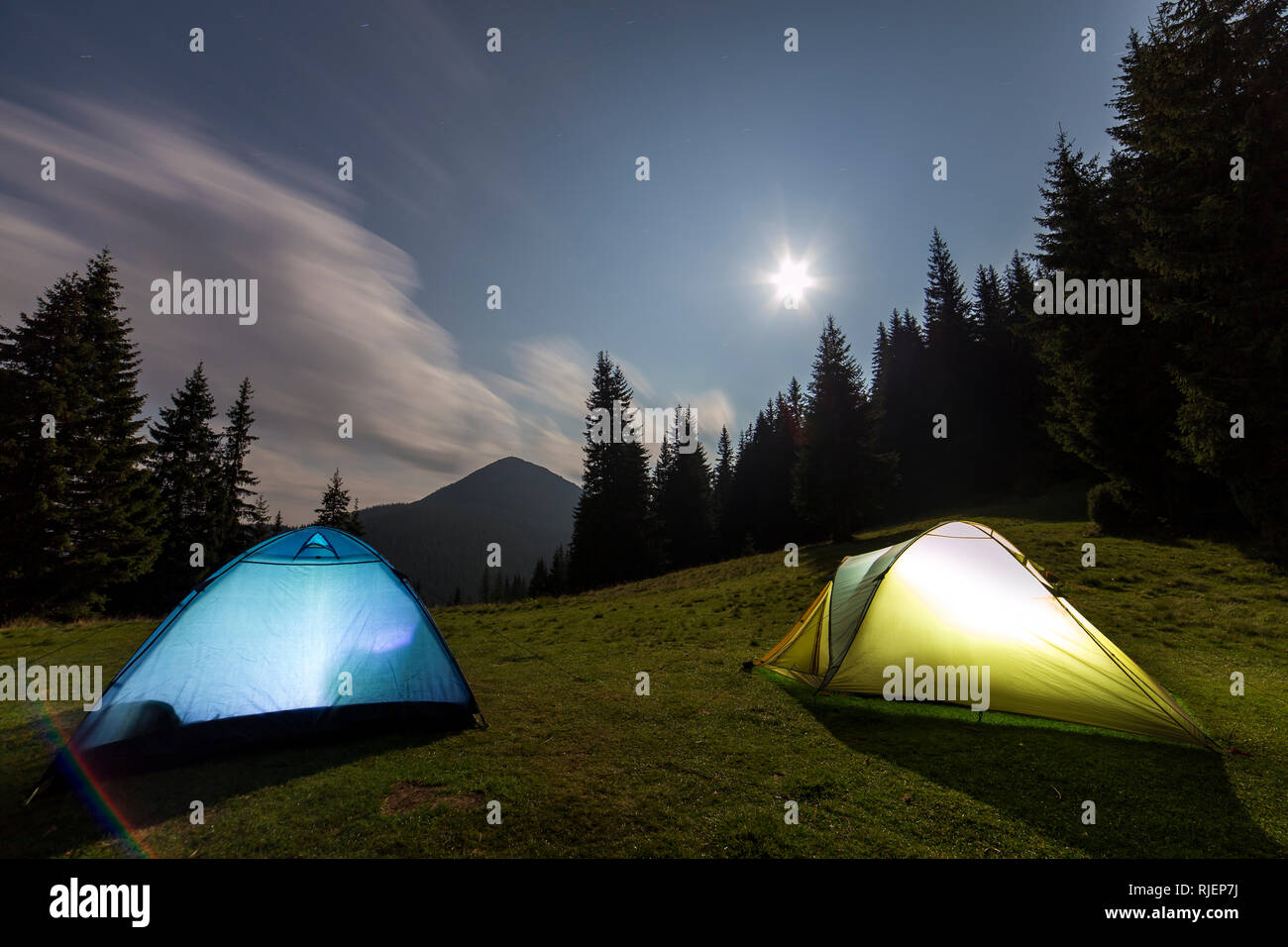 Illuminated moon among trees hi-res stock photography and images - Alamy