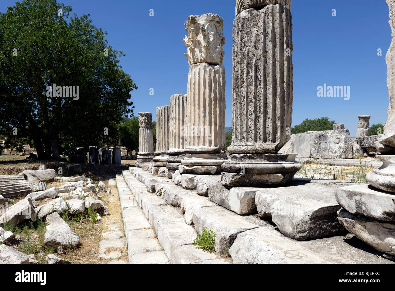 The temple of Hecate (Hekate) which dates from the 2nd century BC ...
