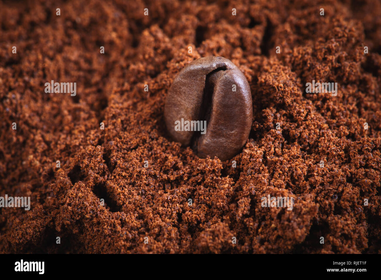 Close up photo of Coffee beans and ground coffee Stock Photo - Alamy