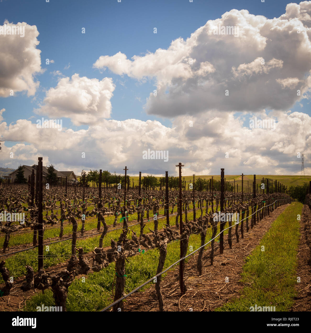Livermore valley winery hi-res stock photography and images - Alamy