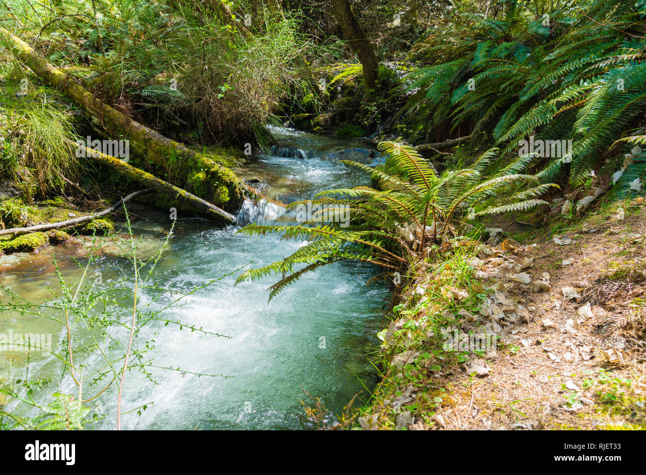 New zealand clean and green hi-res stock photography and images - Alamy