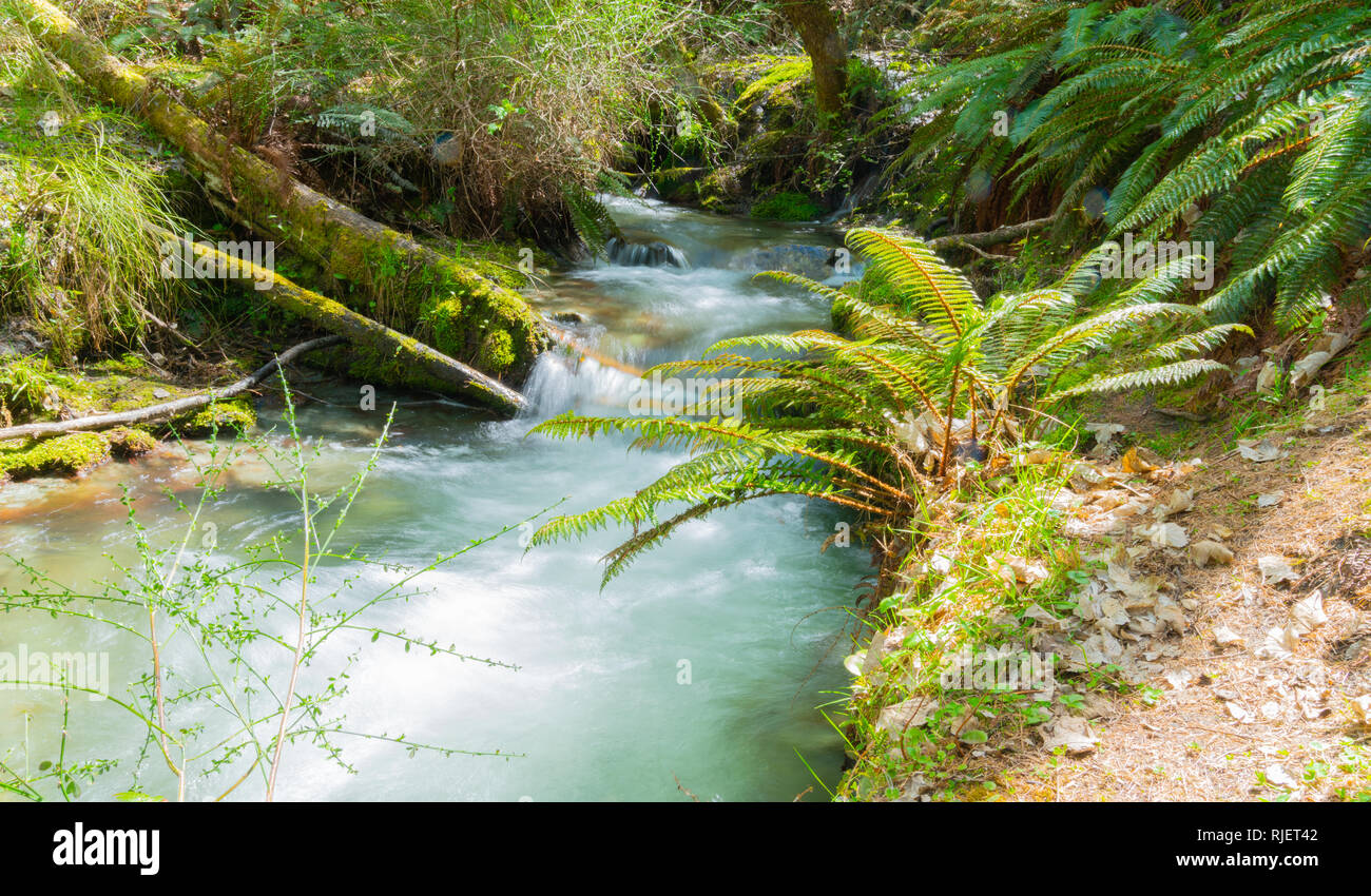 Clean green new zealand hi-res stock photography and images - Alamy
