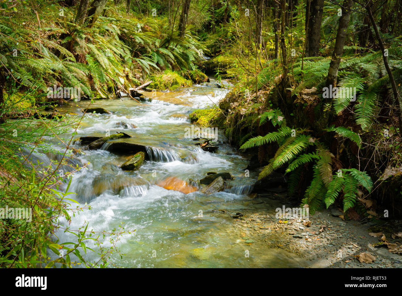 New zealand clean and green hi-res stock photography and images - Alamy