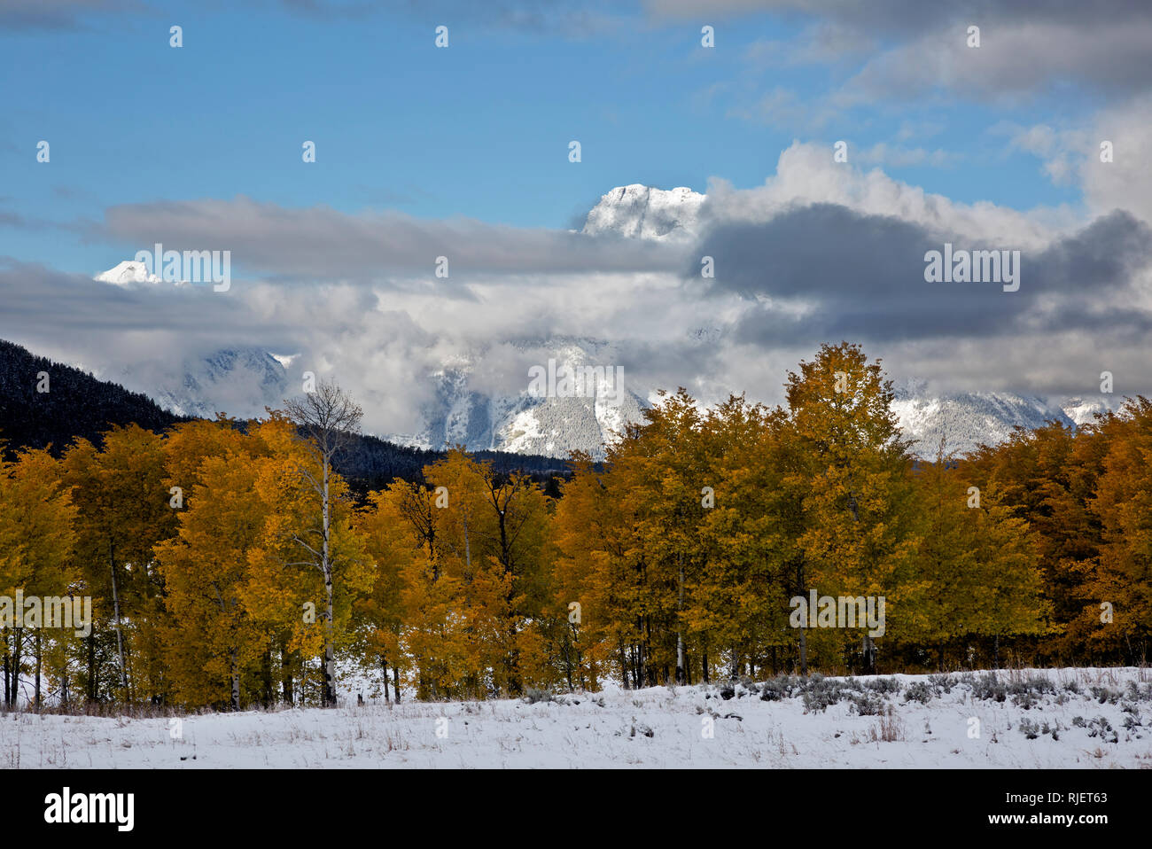 Mount moran and fall colors hi-res stock photography and images - Alamy