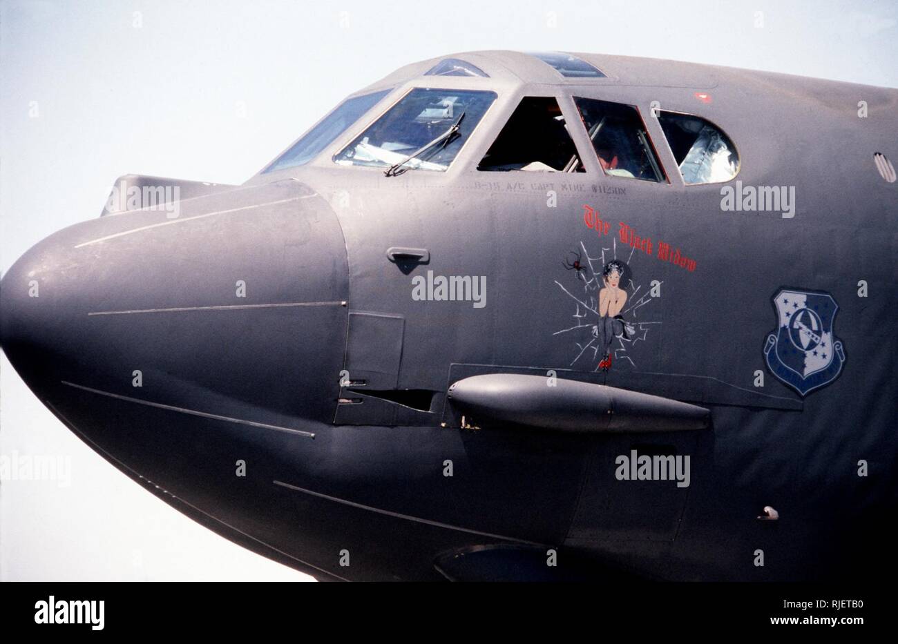 A view of nose art entitled "The Black Widow" on a 410th Bombardment ...