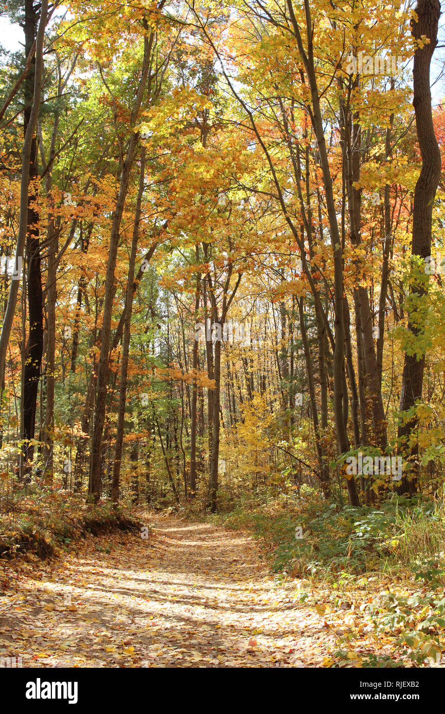 Fall Scenic ATV ride in Castleton Ontario Stock Photo - Alamy