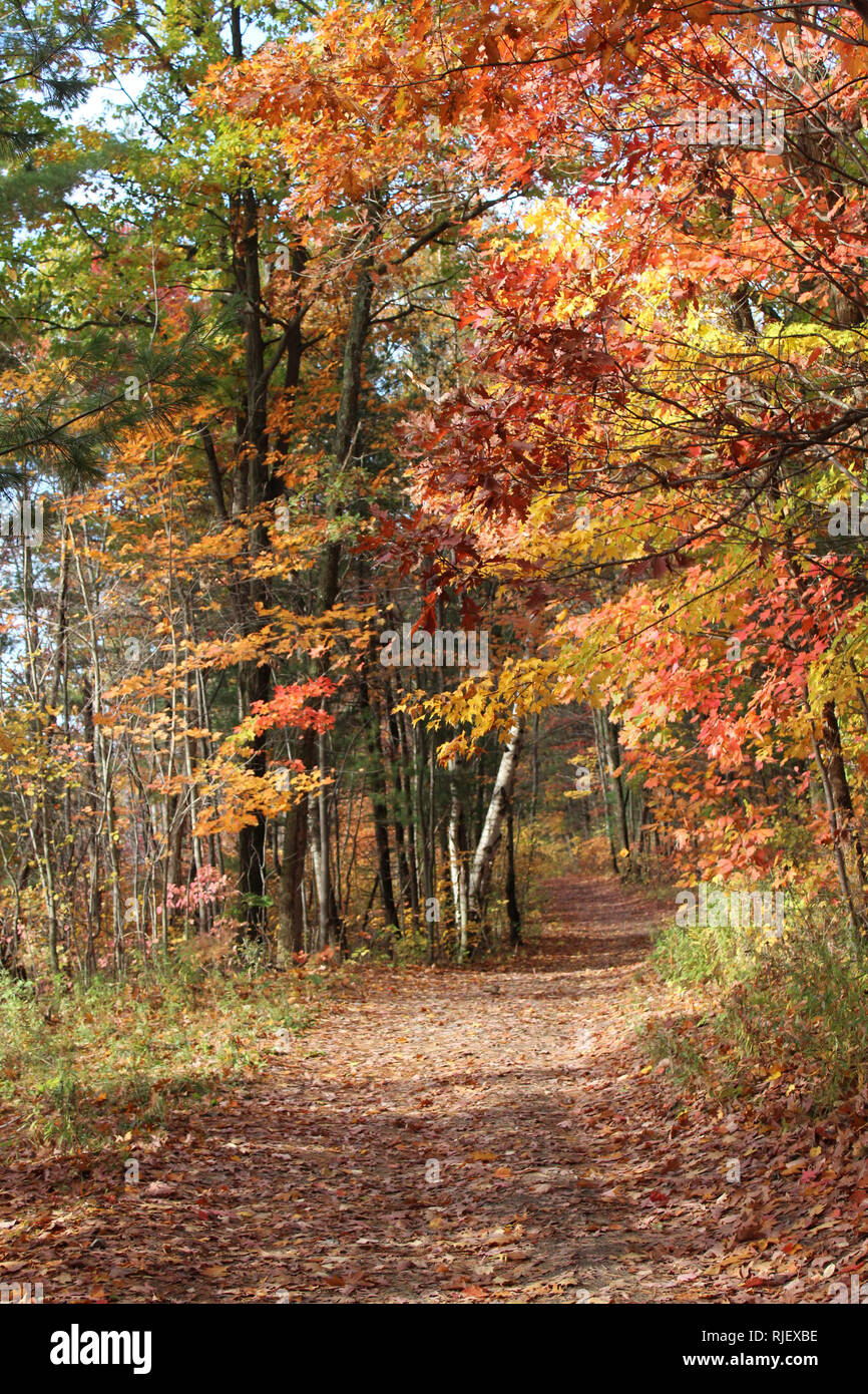 Fall Scenic ATV ride in Castleton Ontario Stock Photo - Alamy