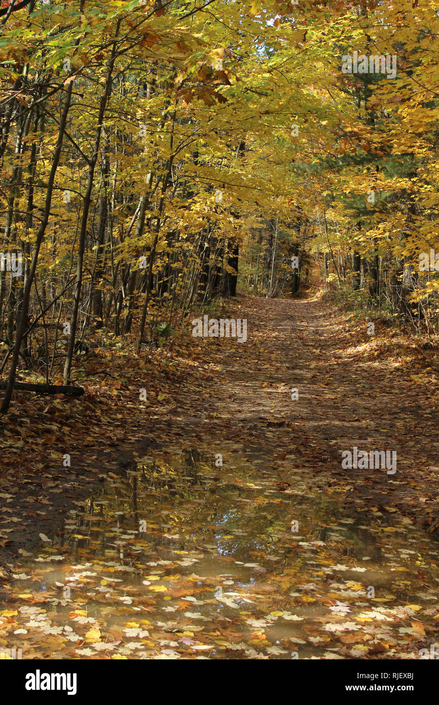 Fall Scenic ATV ride in Castleton Ontario Stock Photo - Alamy
