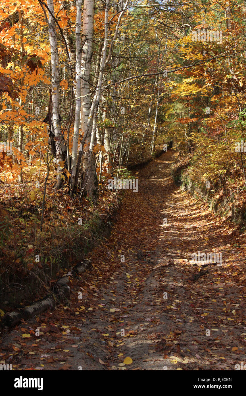 Fall Scenic ATV ride in Castleton Ontario Stock Photo - Alamy