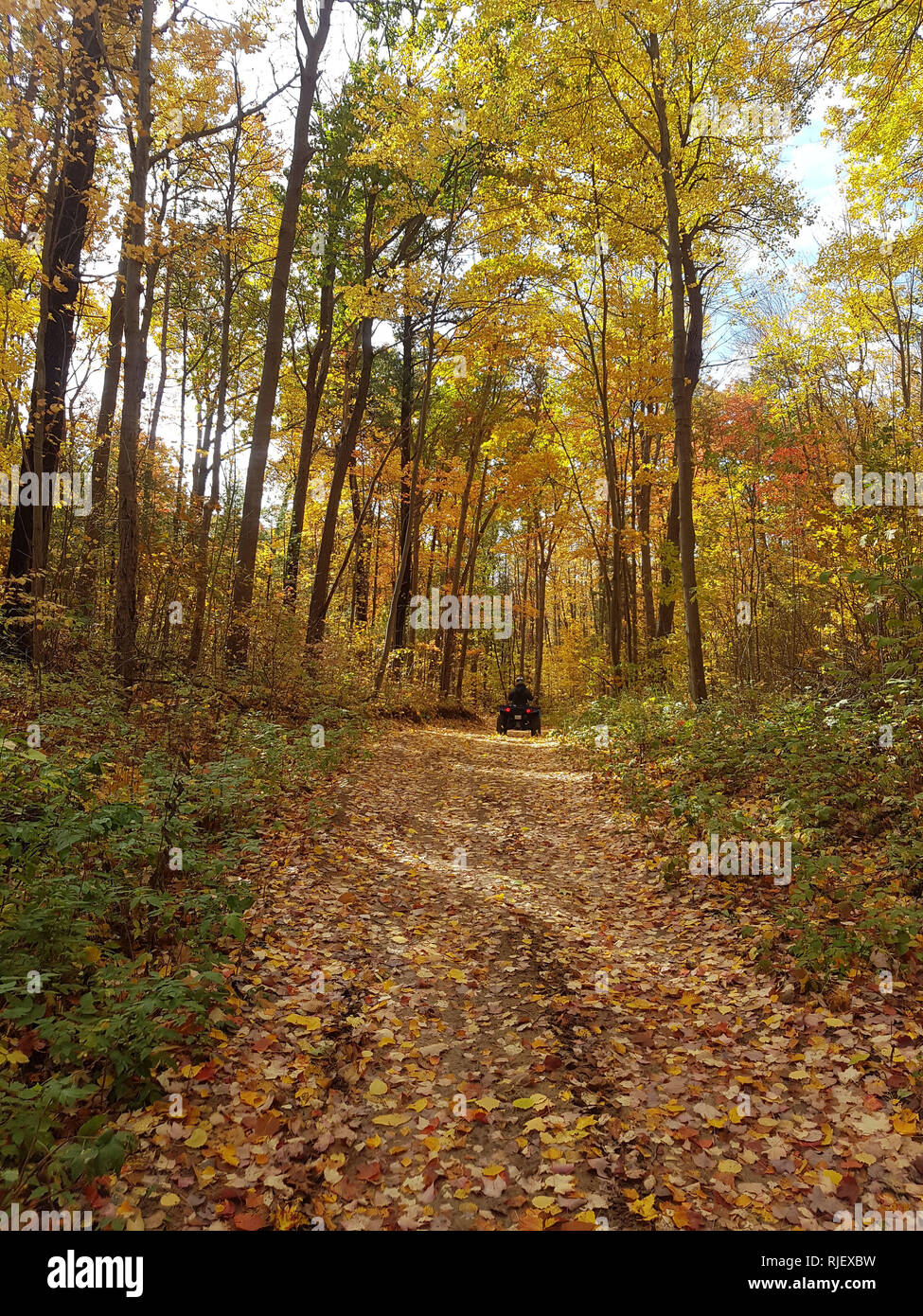 Fall Scenic ATV ride in Castleton Ontario Stock Photo - Alamy