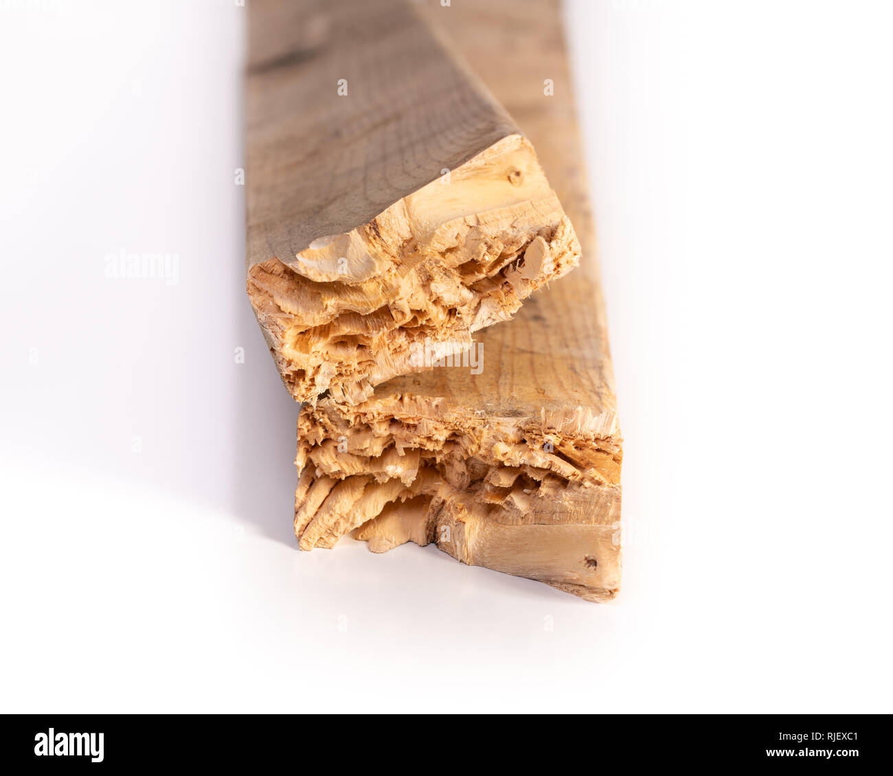 Fractured wood stud used in construction, endurance concept Stock Photo ...