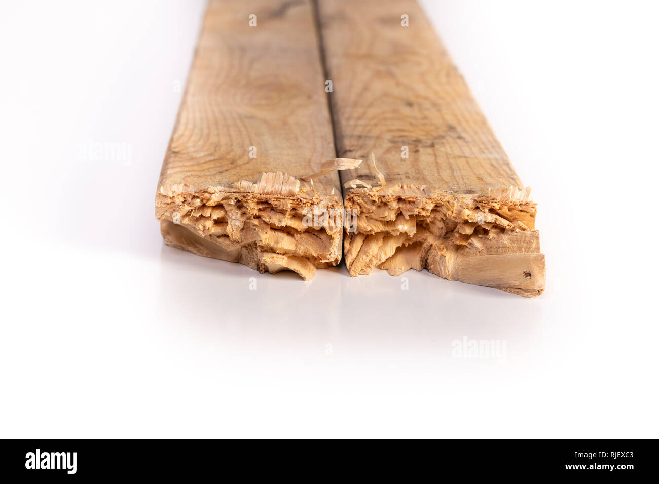 Fractured wood stud used in construction, endurance concept Stock Photo ...