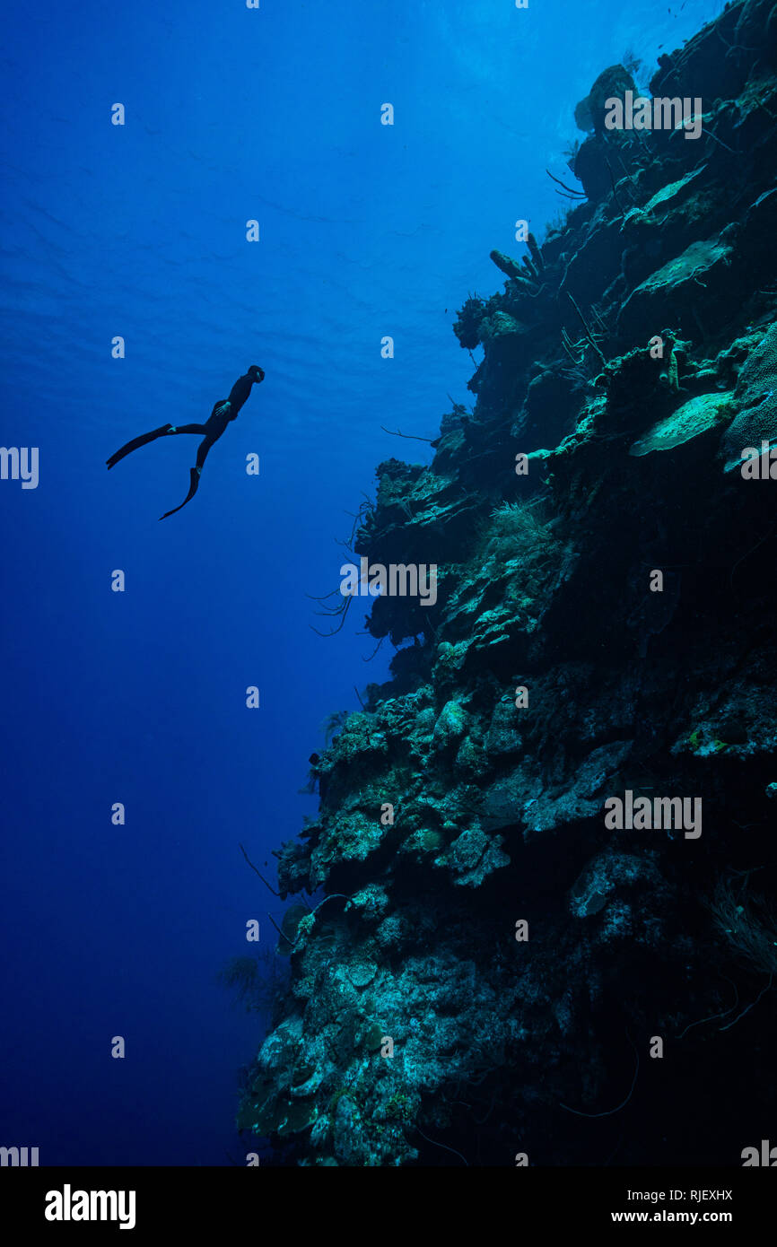 Girl freediving hi-res stock photography and images - Alamy