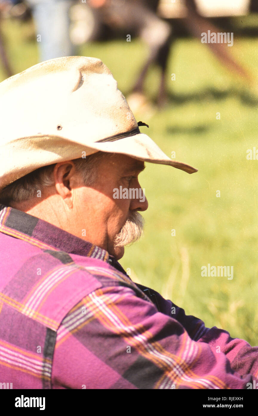Early 2000s working ranch cowboy hi-res stock photography and images ...