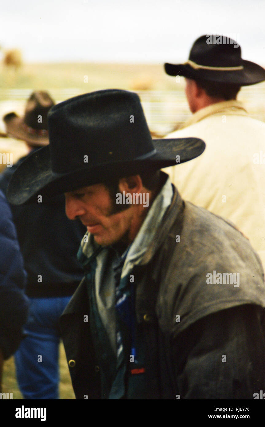 Large sideburns hi-res stock photography and images - Alamy