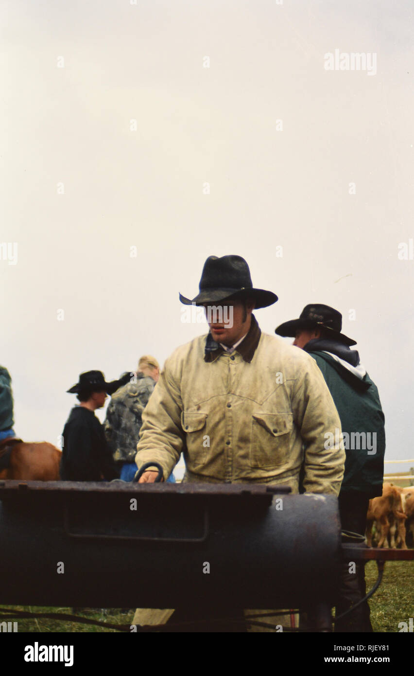Cowboy with branding iron on a Nebraska ranch during annual spring ...