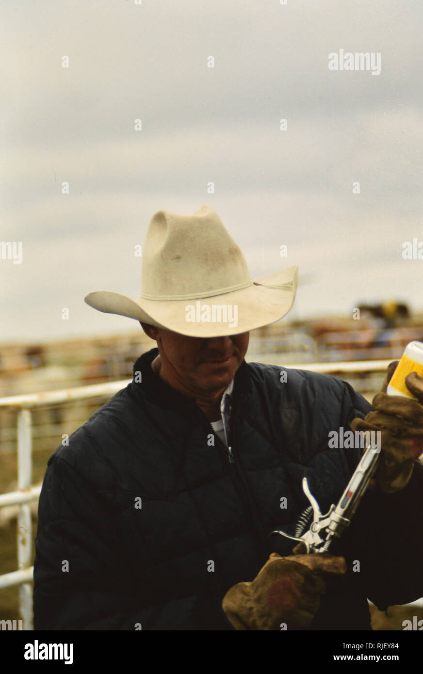Real Nebraska Cowboys Early 2000s High Resolution Stock Photography and ...