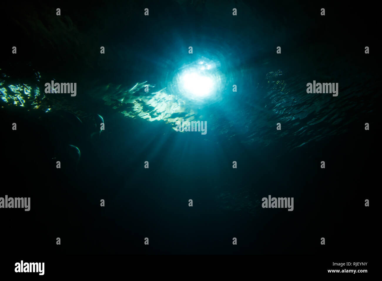 Underwater scene ocean hi-res stock photography and images - Alamy