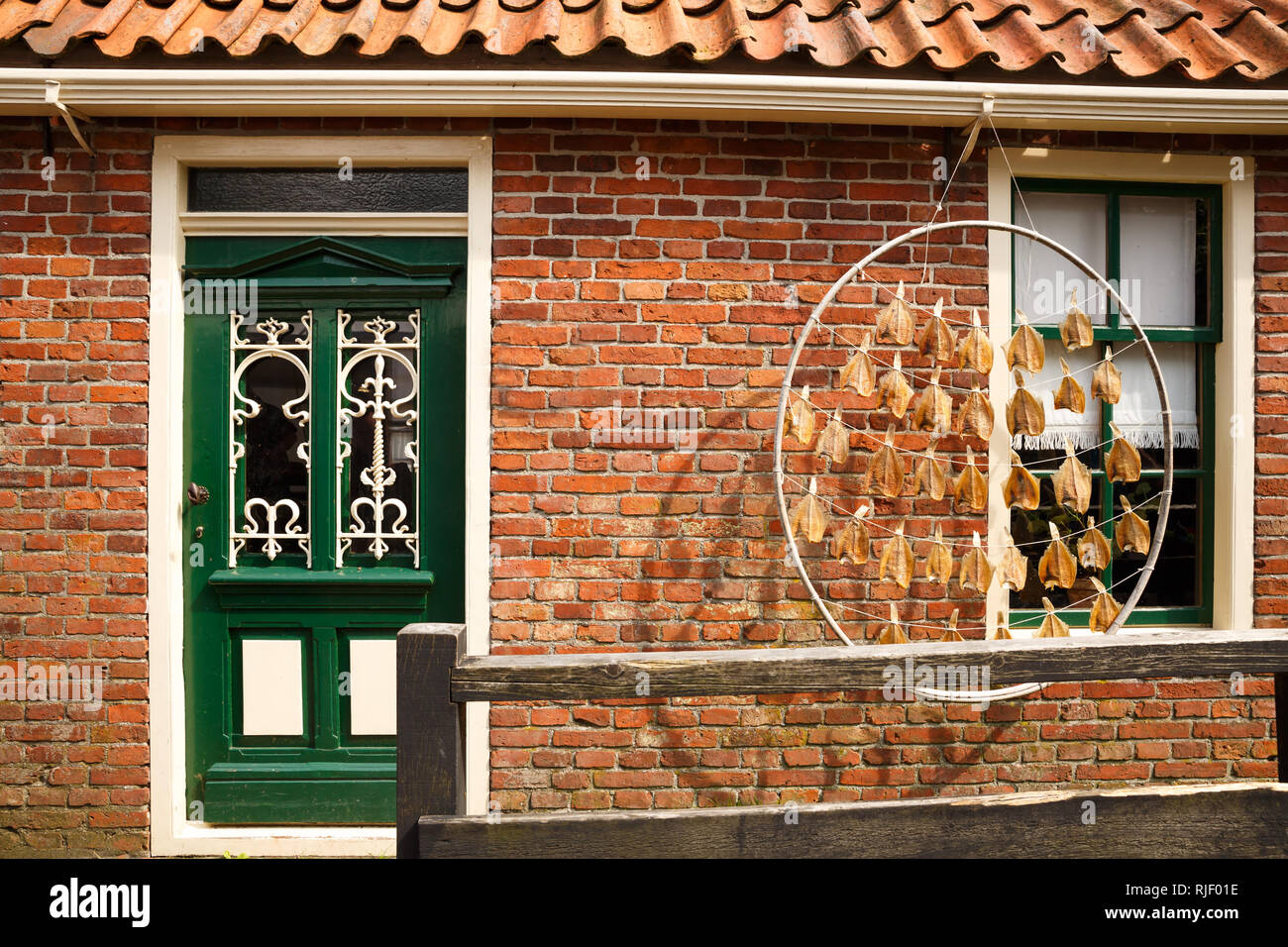 Fish outdoor drying on the sun in the traditional Dutch fisherman ...