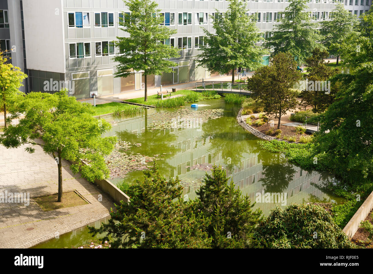 Park with pond and trees in Hamburg Stock Photo - Alamy