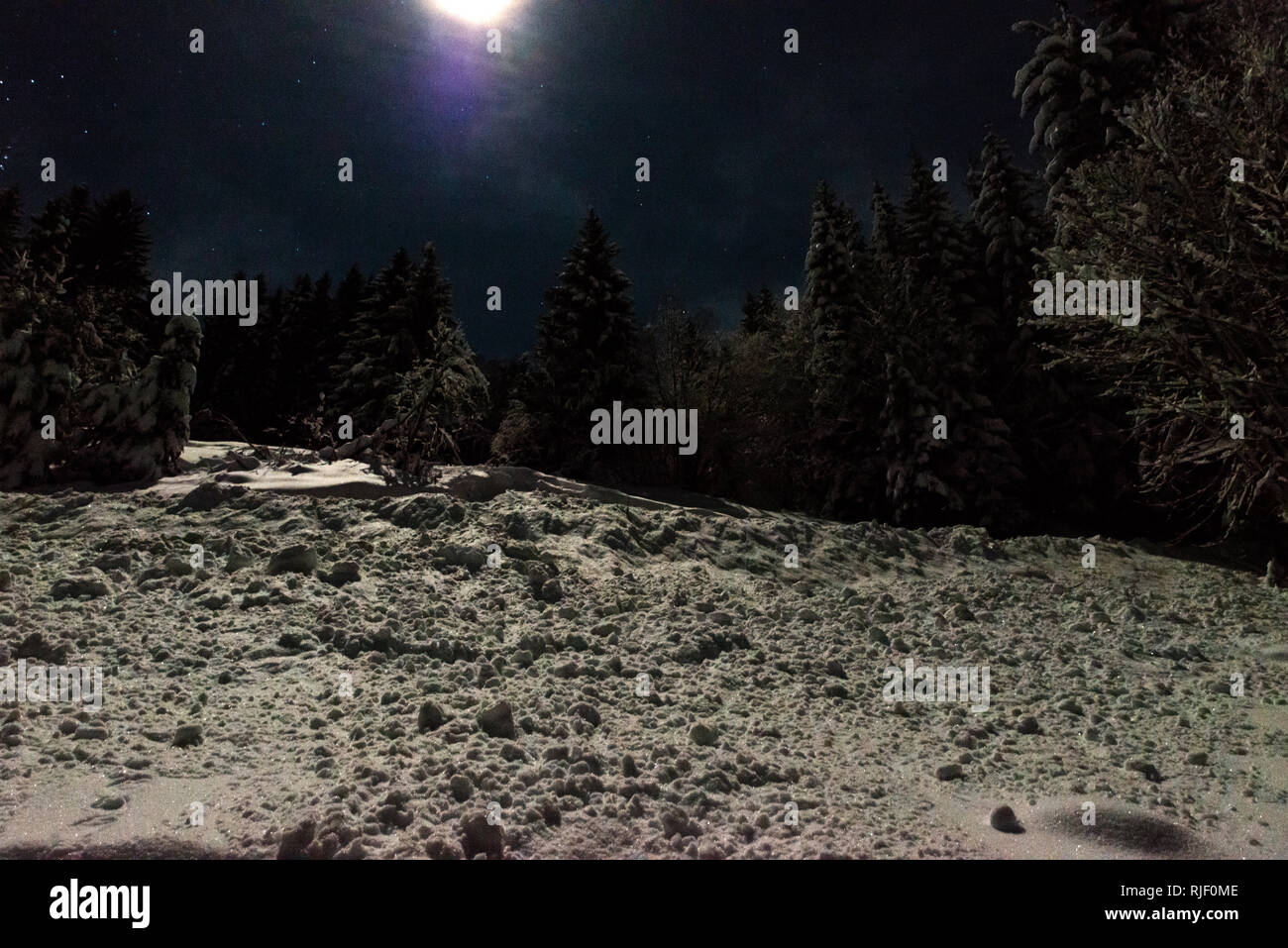 Moonlight forest snow hi-res stock photography and images - Alamy