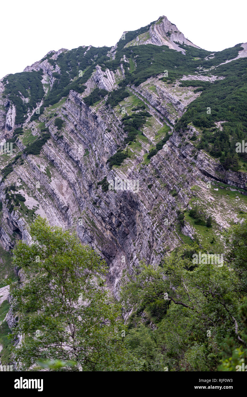 Overgrown terrain hi-res stock photography and images - Alamy