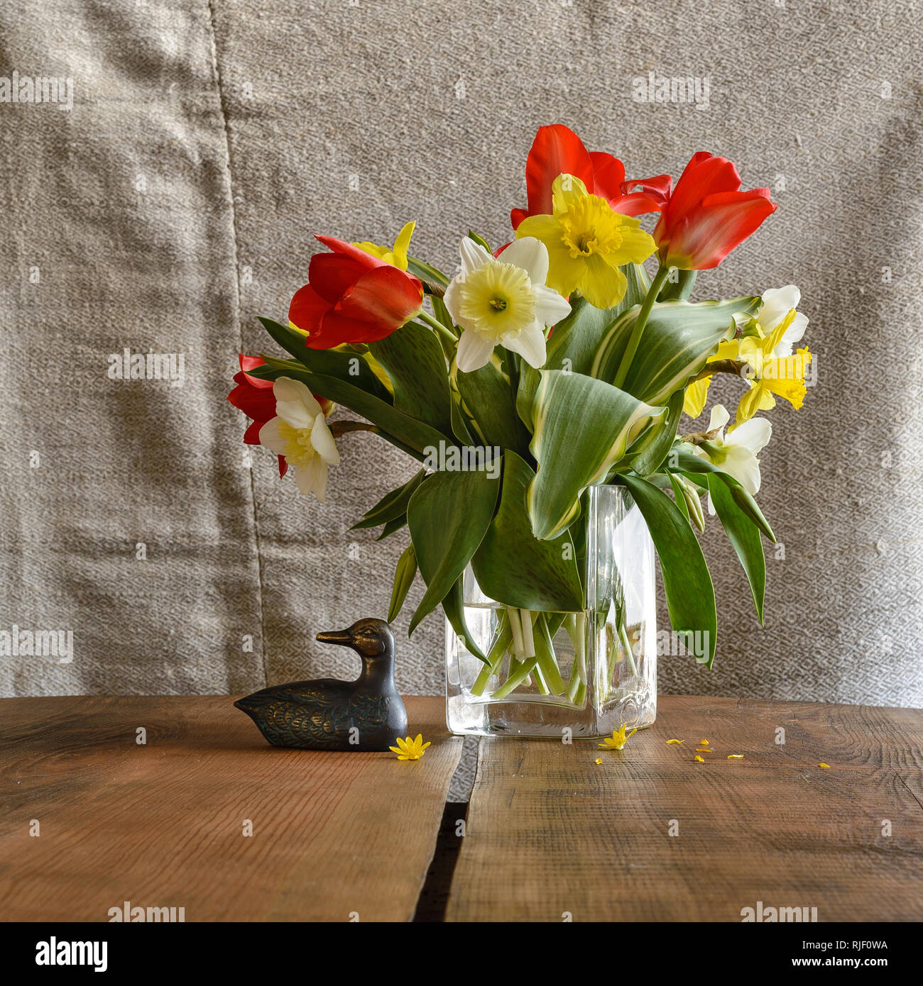 Spring still life hi-res stock photography and images - Alamy
