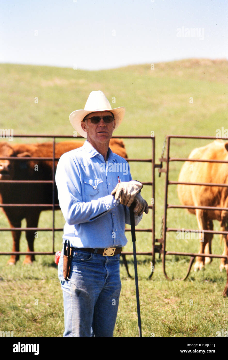 Cowboy models hi-res stock photography and images - Alamy