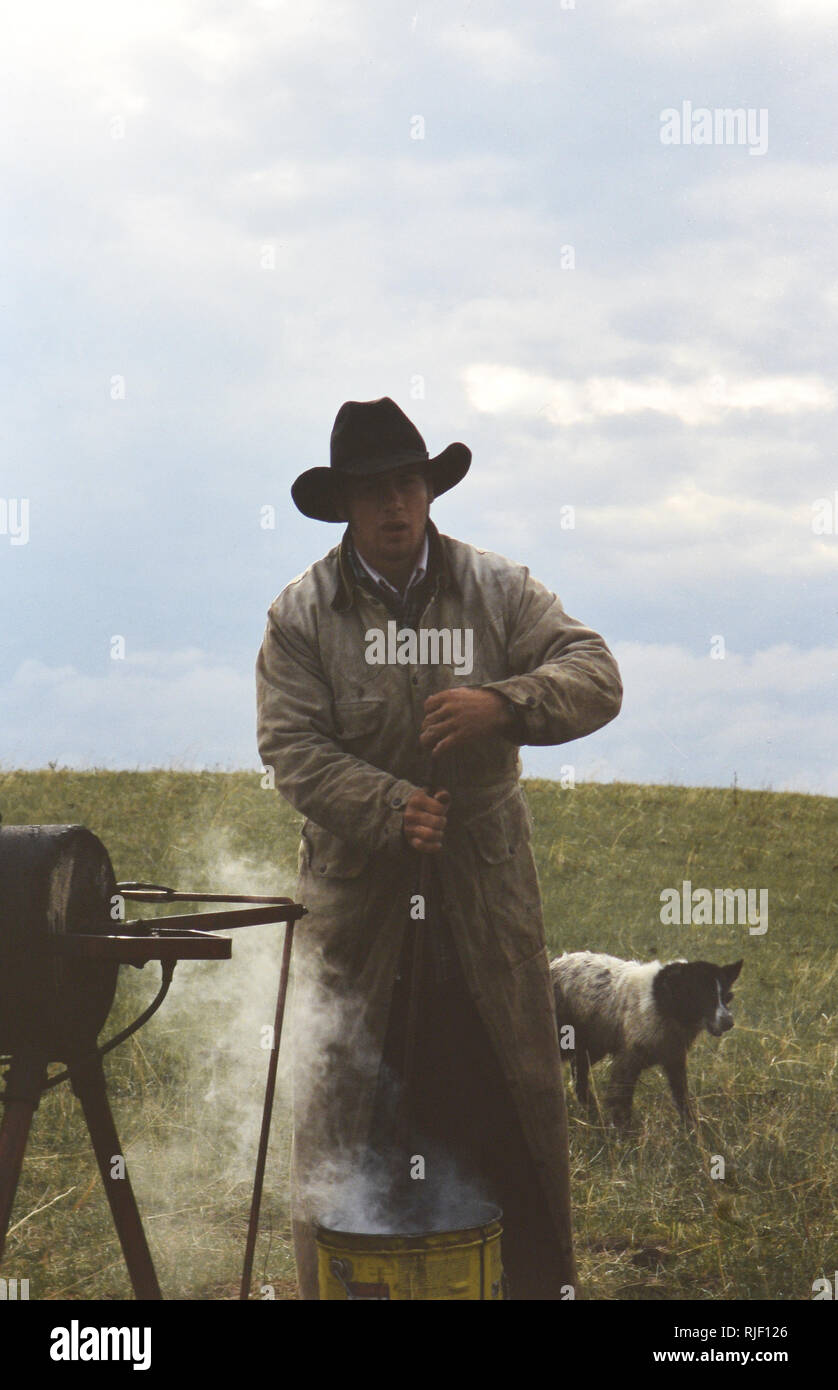 Cowboy with branding iron on a Nebraska ranch during annual spring ...