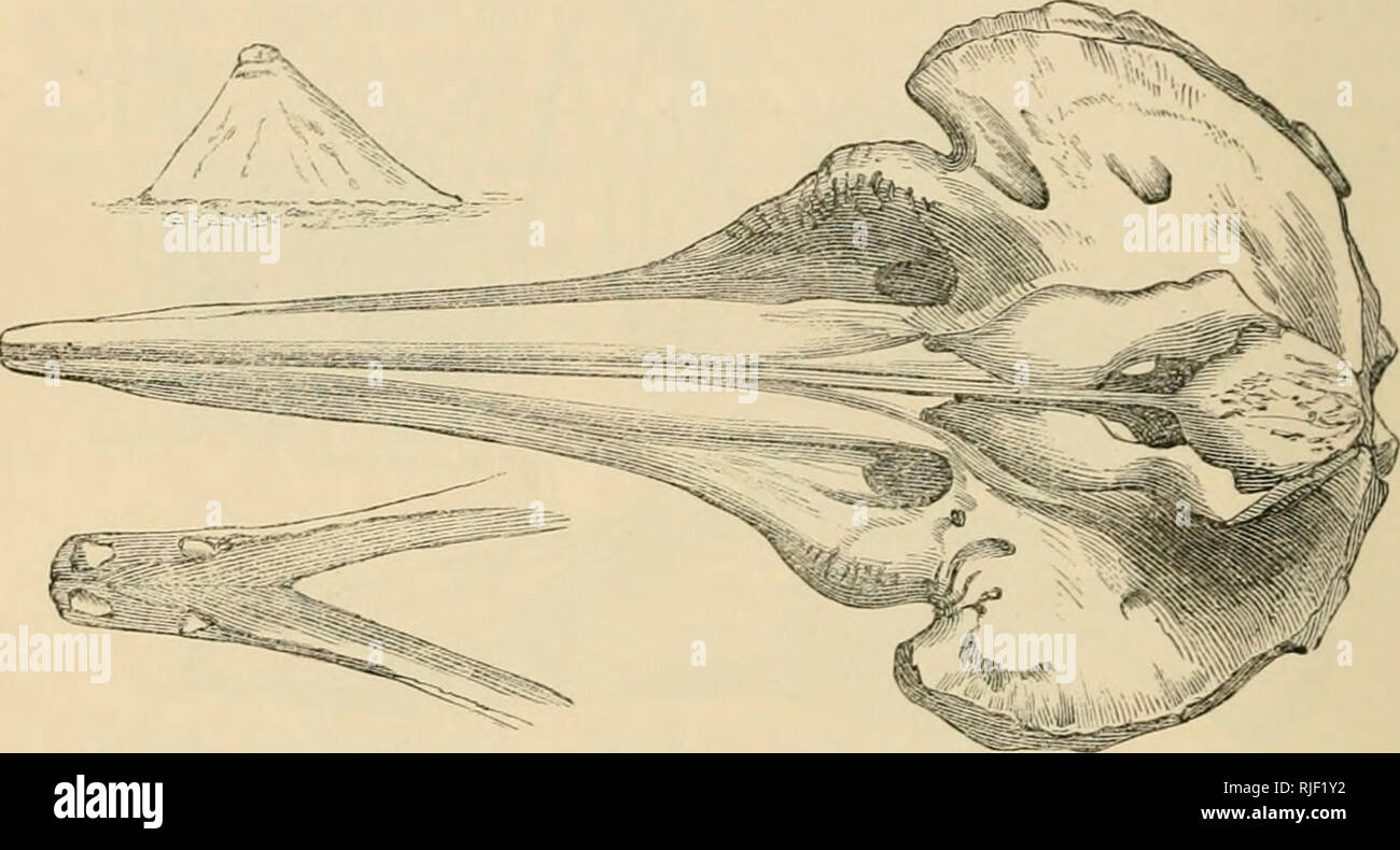 Internia hi-res stock photography and images - Alamy