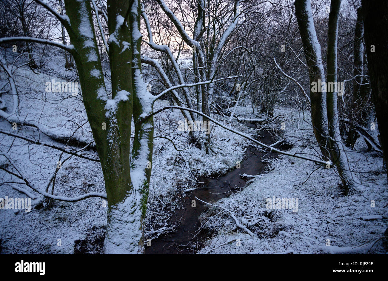 Snowy dawn in the Peak District National Park, England. Twilight light ...