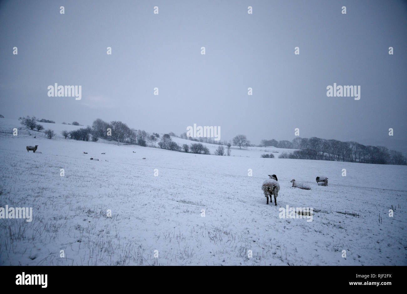Snowy dawn in the Peak District National Park, England. Twilight light ...