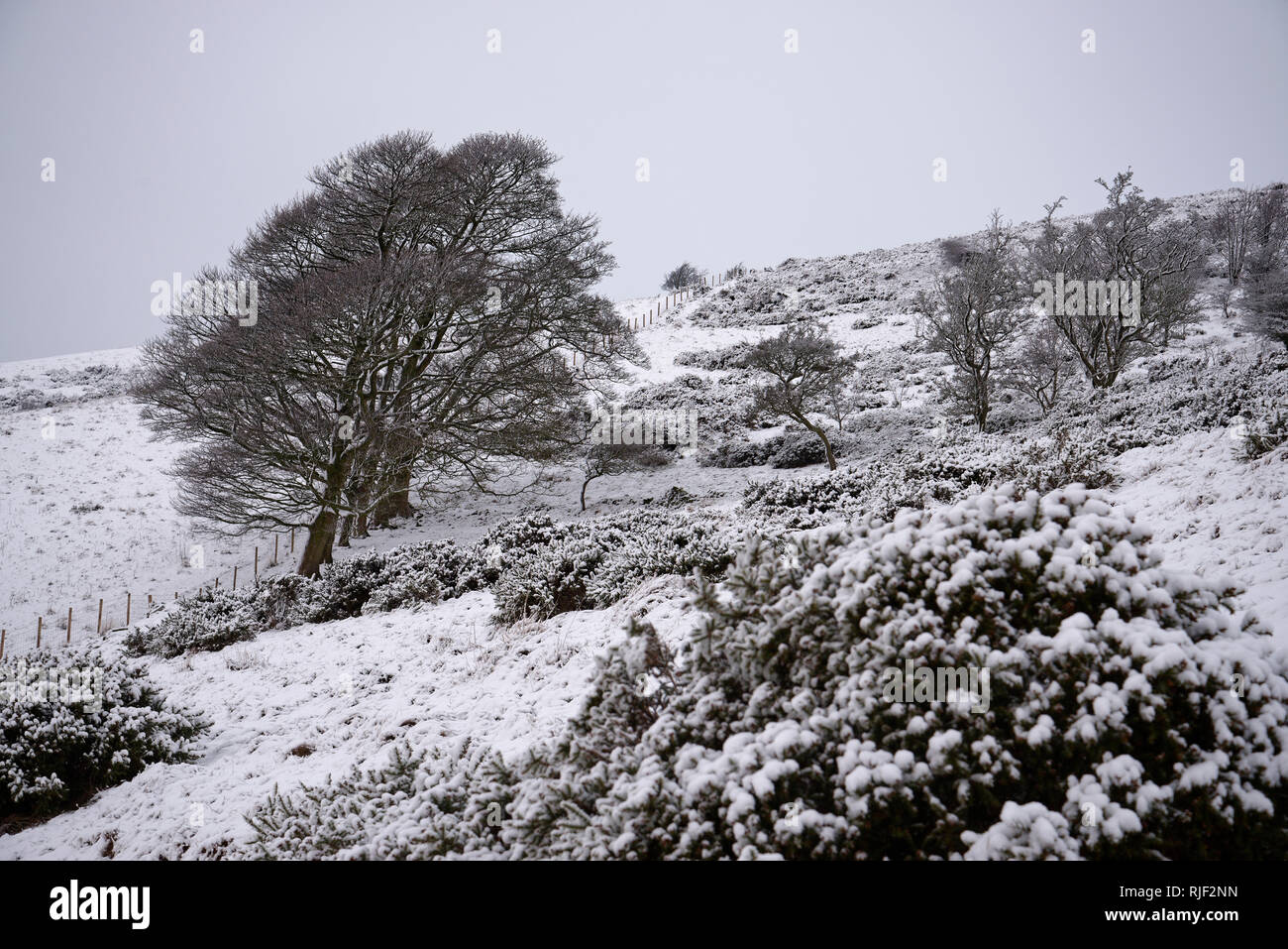 Snowy dawn in the Peak District National Park, England. Twilight light ...