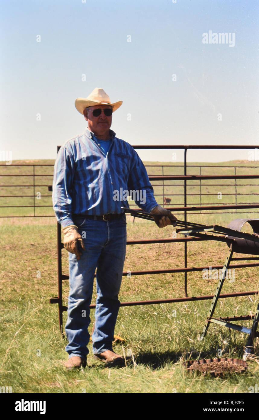 Cattle branding historical hi-res stock photography and images - Alamy