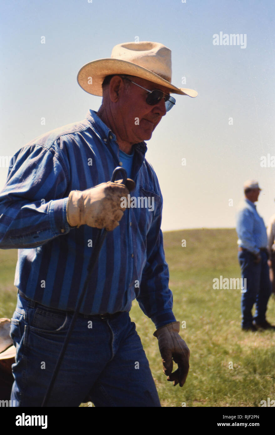 Early 2000s working ranch cowboy hi-res stock photography and images ...