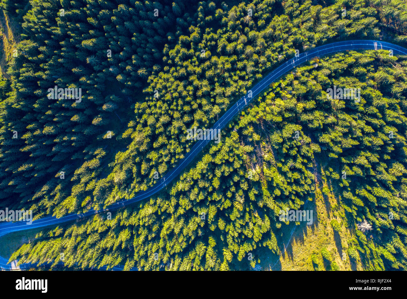 Road passing through forest, aerial view from a drone Stock Photo - Alamy