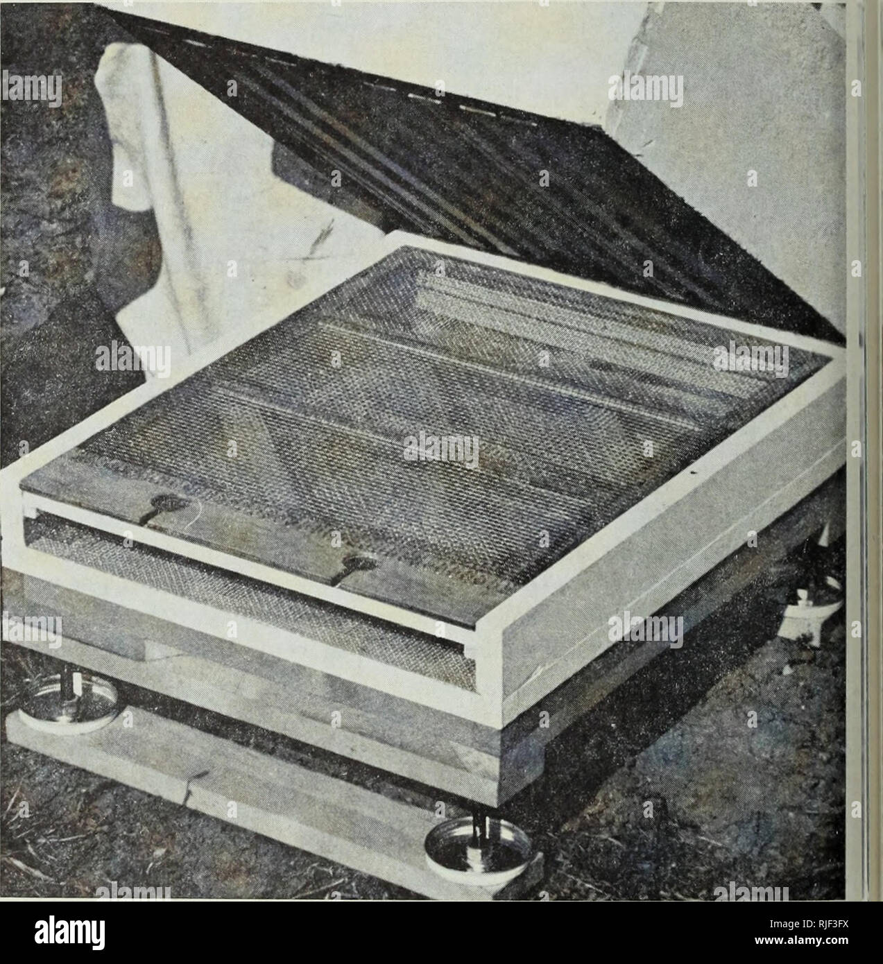 Pollen traps hi-res stock photography and images - Alamy