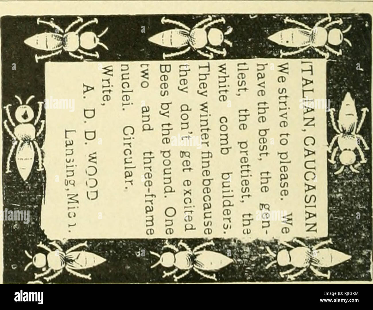 Old basing common hi-res stock photography and images - Alamy